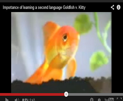 Funny Commercial:The Importance of learning a second language ...